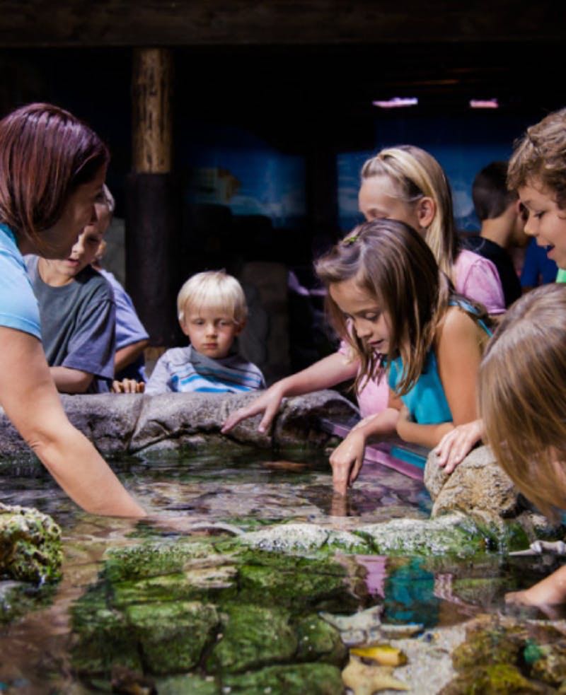 Aquarium en Ile de France - 3 aquariums incontournables à visiter