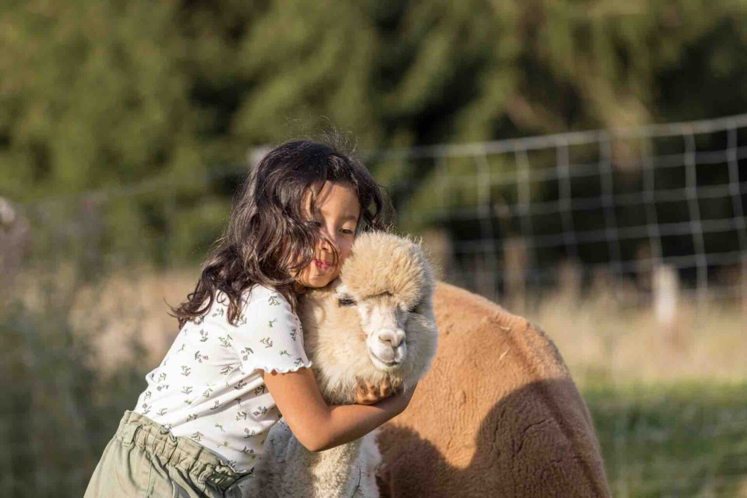 Parrot World, the immersive animal park >> Reviews, prices, photos...