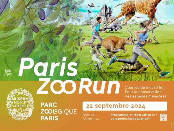 Paris Zoo Run 2024 | Marche et course pour le Rhinocéros