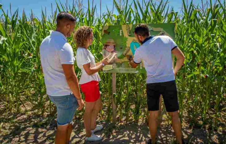 Pop Corn labyrinthe : jeu dans des champs de maïs XXL