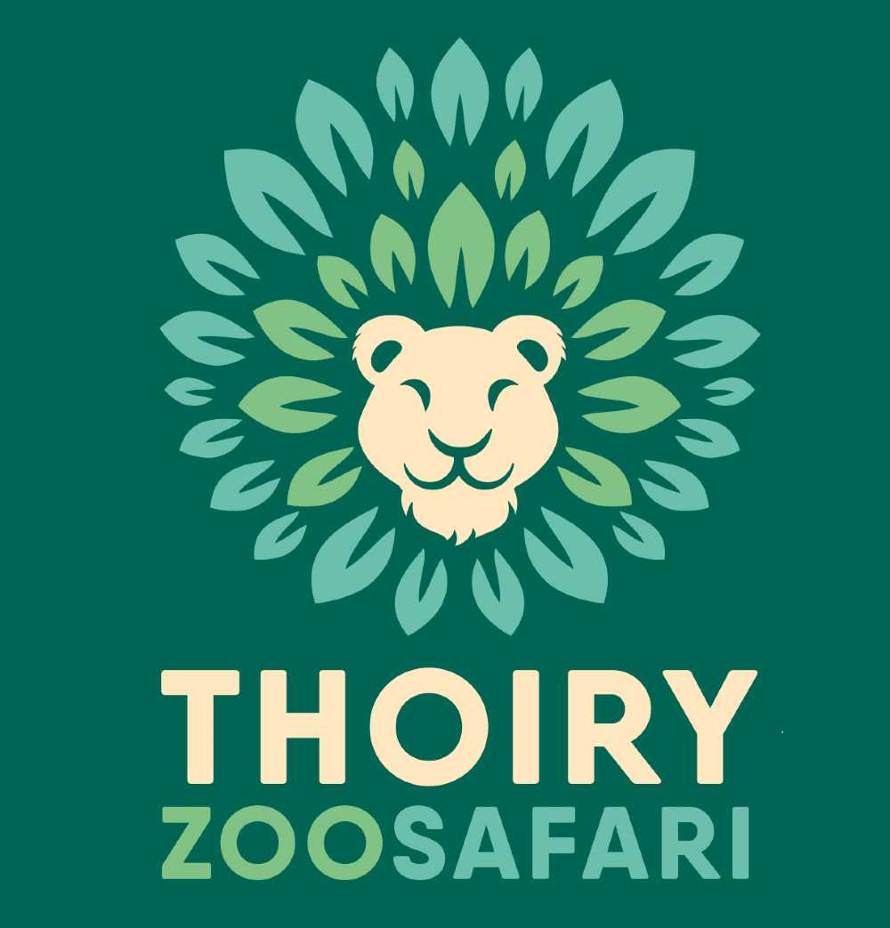 Safari au zoo de Thoiry : une expérience formidable en famille (dans le 78)