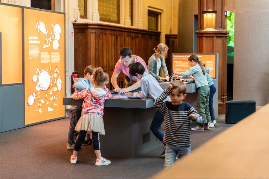 Citéco, le musée de l'économie - Week-end gratuit cet été