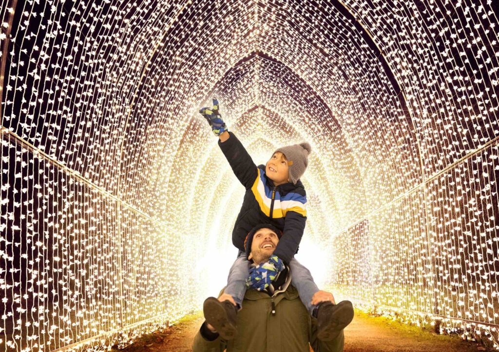 Les illuminations de Noël au parc Floral >> Billetterie