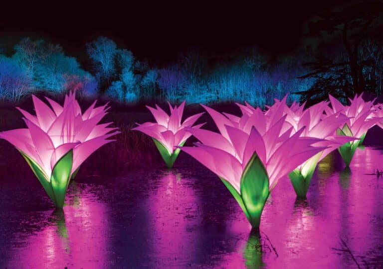 Les illuminations de Noël au parc Floral >> Billetterie