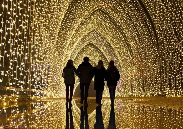 Les illuminations de Noël au parc Floral >> Billetterie